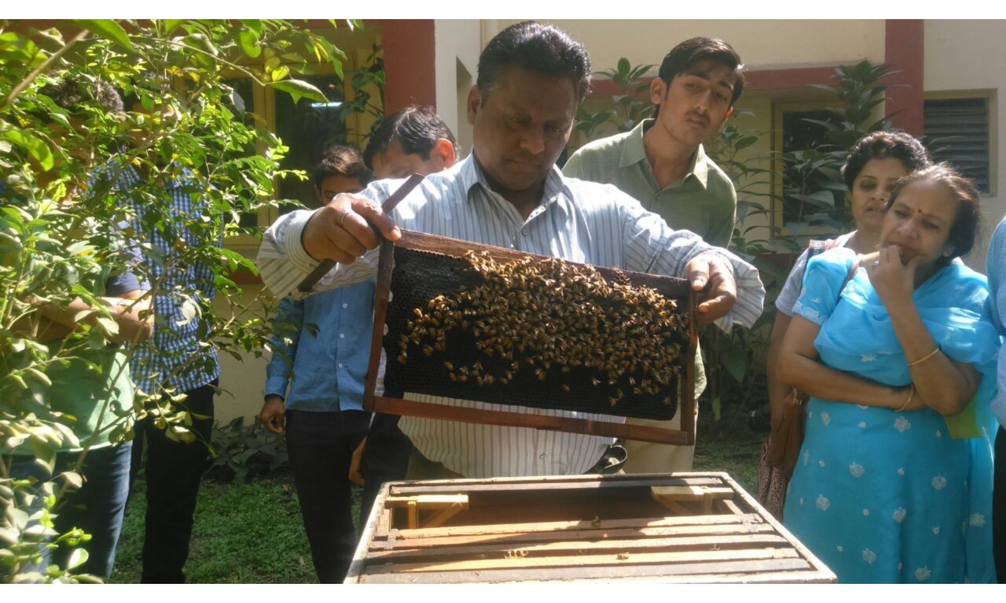 Central Bee Research and Training Institute