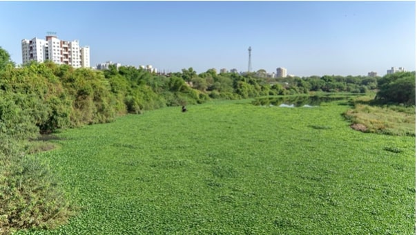 Mula River