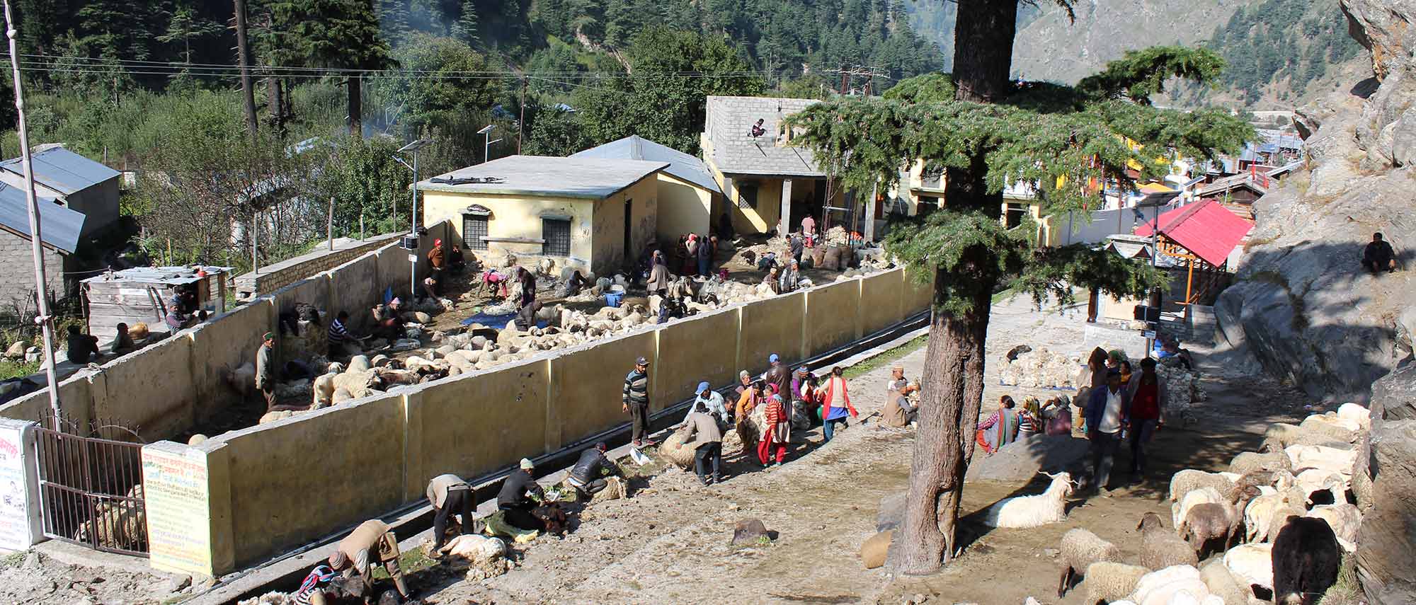 Jadh Bhotiya Community in Bagori Village