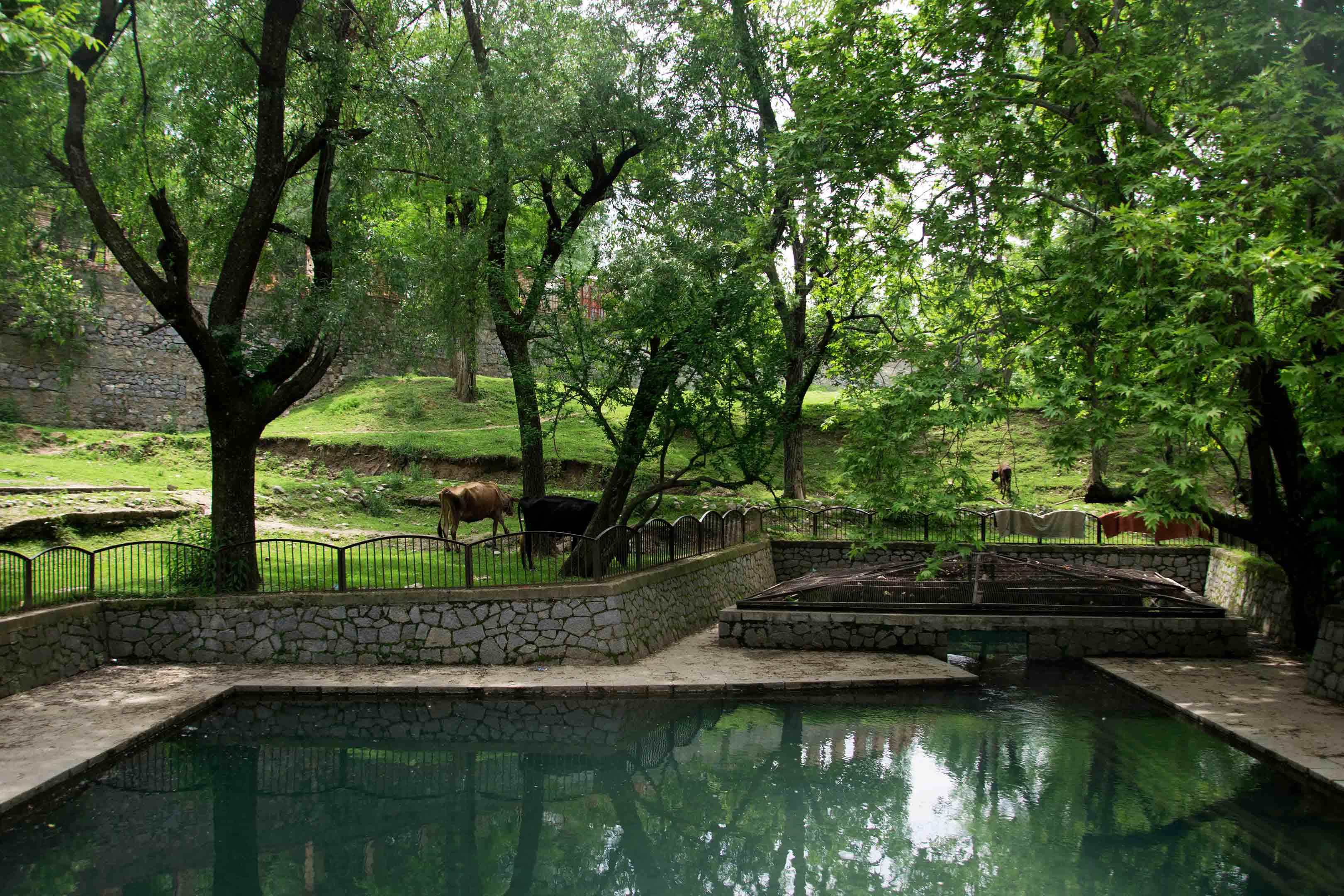 Lifeline of Kashmir Valley: The Jhelum River
